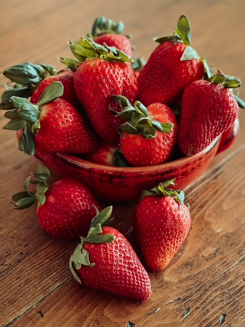 Erdbeersaison: Germany’s Favorite Summer Fruit Season… – One German ...